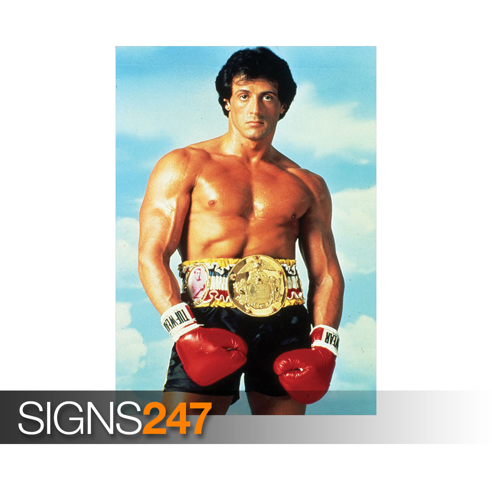 ROCKY BALBOA (1041) Photo Picture Poster Print Art A0 A1 A2 A3 A4 | eBay