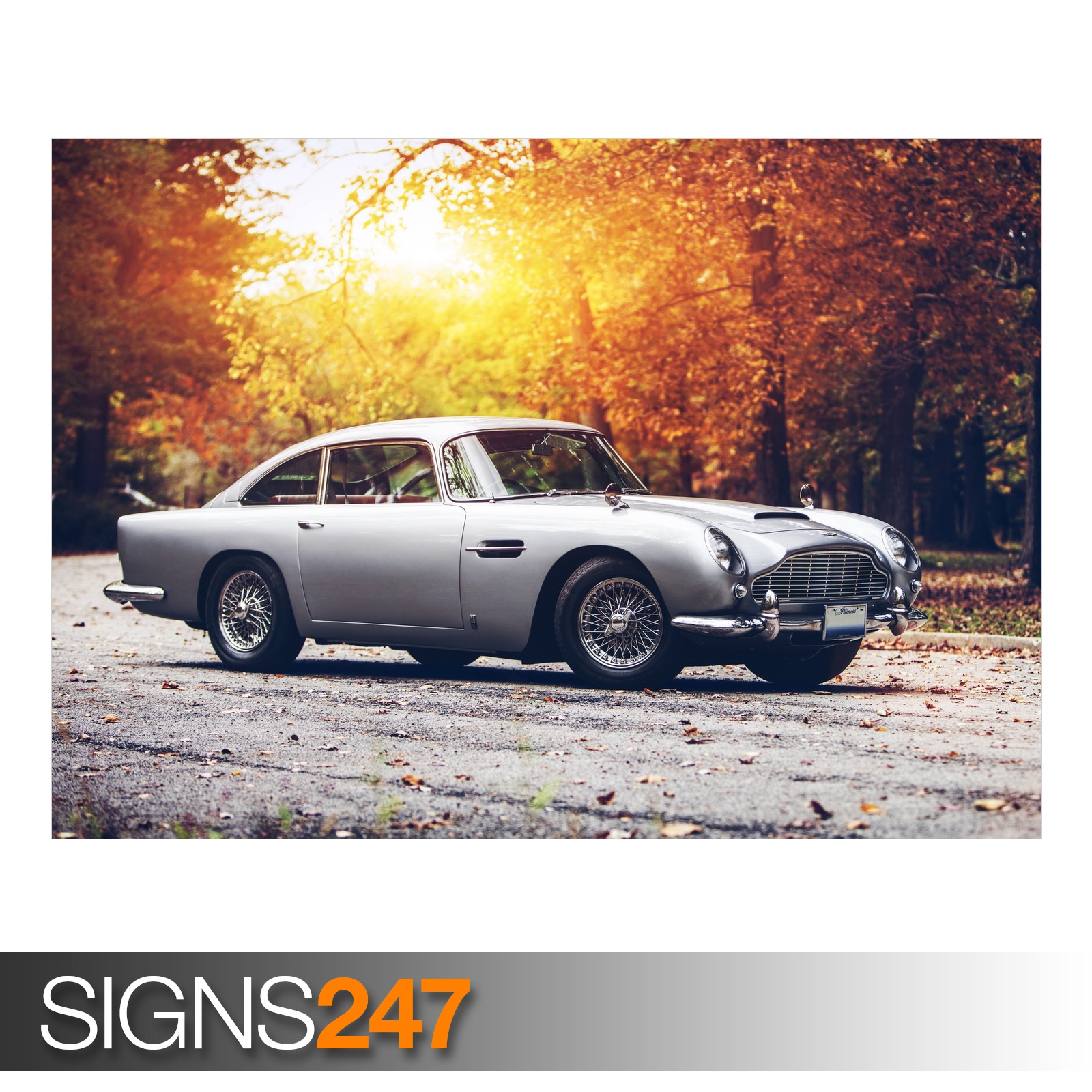ASTON MARTIN DB-5 (AA883) CLASSIC CAR POSTER - Poster Print Art A0 A1 ...